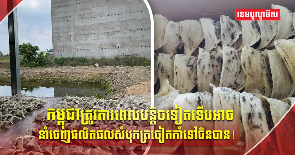 តើមានកត្តារាំងស្ទះអ្វីខ្លះធ្វើឱ្យកម្ពុជា ...