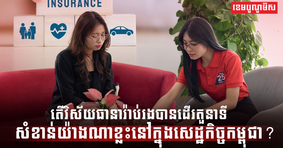 តើវិស័យធានារ៉ាប់រងបានដើរតួនាទីសំខាន់យ៉ាងណាខ្លះនៅក្នុងសេដ្ឋកិច្ចកម្ពុជា? — Cambonomist